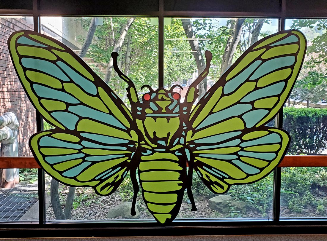 People’s U. Returns With ‘Bugs & People’ | News, Sports, Jobs - The ...